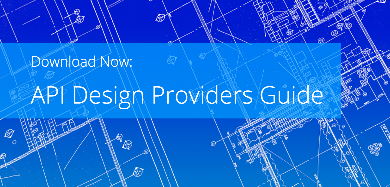 Cultivating the Next Generation of API Design Skills