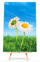 API Stack - Large Format Printing with the Mimeo Connect Poster ...